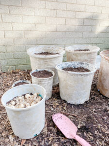 Planting Bulbs In Pots (How I Grew Tulips In My Garage!) | Hope & Hedges