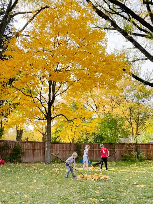 34 Fun Fall Outdoor Activities For Kids (And Families) | Hope And Hedges