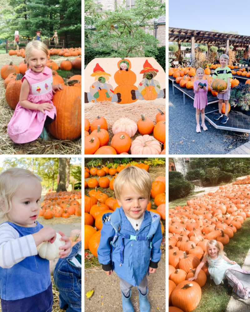 34 Fun Fall Outdoor Activities For Kids (And Families) | Hope And Hedges