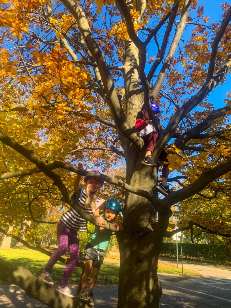 34 Fun Fall Outdoor Activities For Kids (And Families) | Hope And Hedges