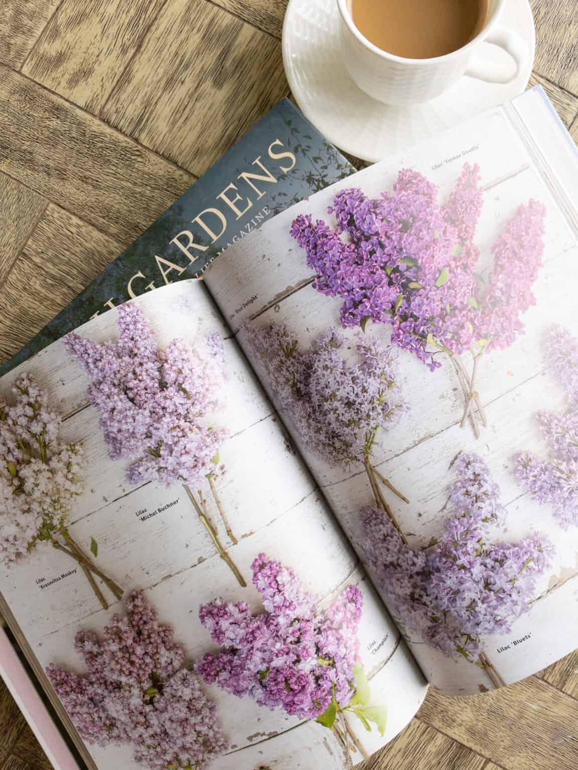 23 Beautiful Coffee Table Books Inspired By The Garden | Hope And Hedges