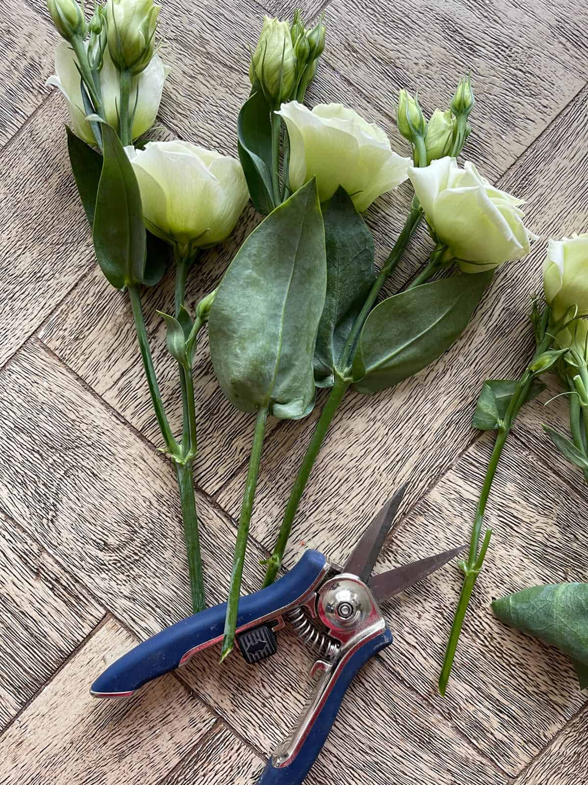 Simple Flower Arranging Tips From A Pro Floral Designer | Hope And Hedges