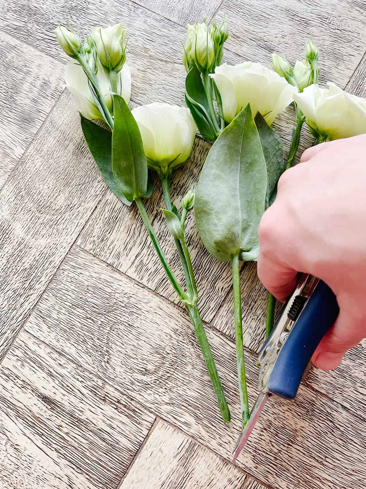 Simple Flower Arranging Tips From A Pro Floral Designer | Hope And Hedges