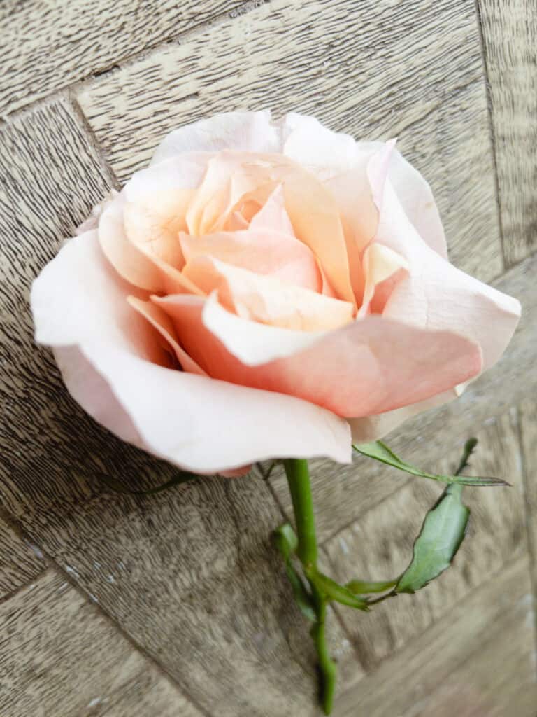 Simple Flower Arranging Tips From A Pro Floral Designer | Hope And Hedges