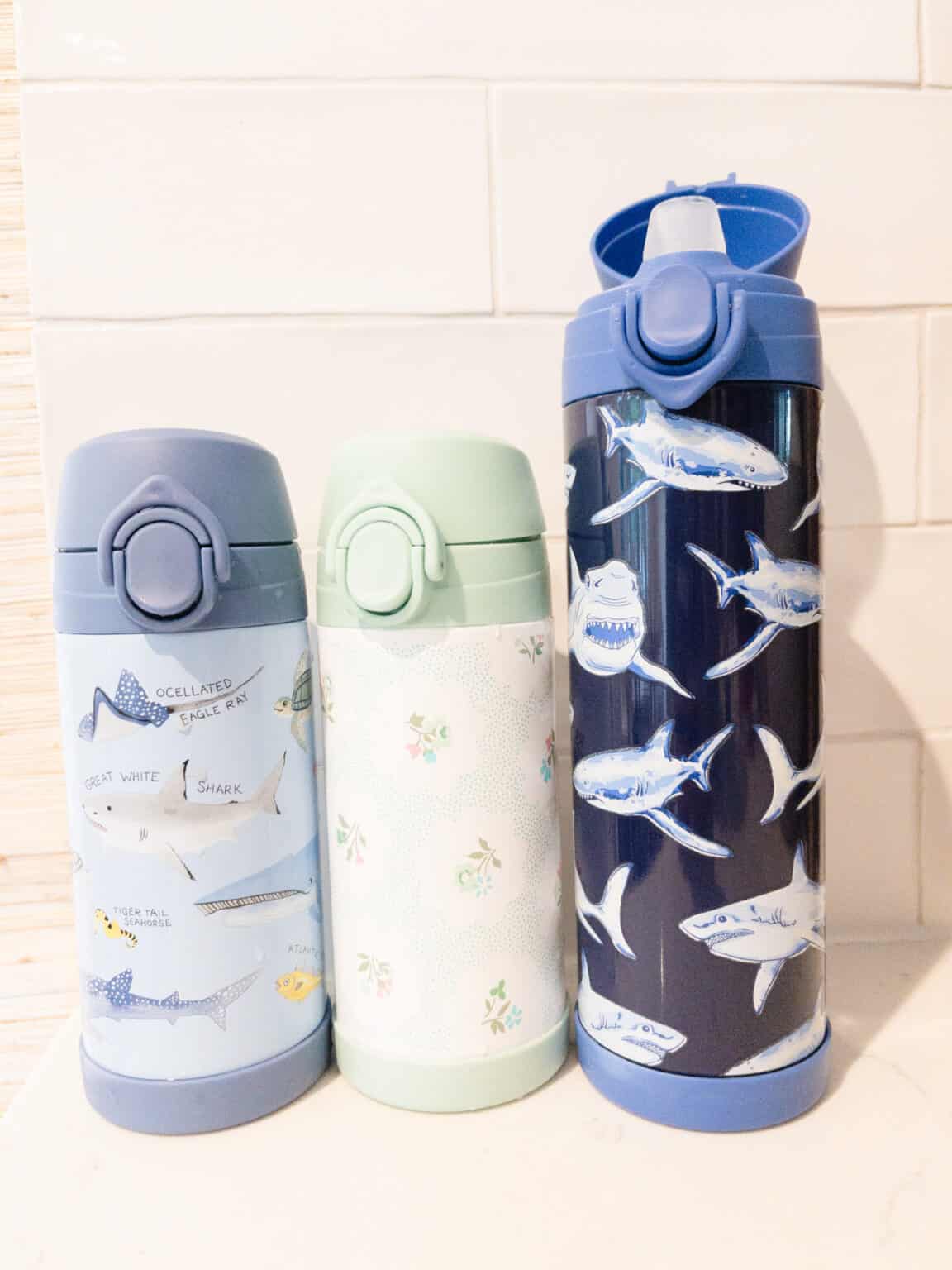 Pottery Barn Water Bottle Review | Hope And Hedges