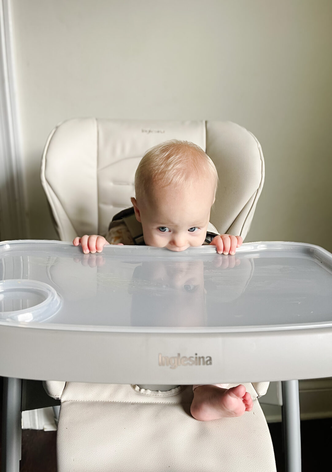Inglesina My Time (Honest Review) | Hope And Hedges