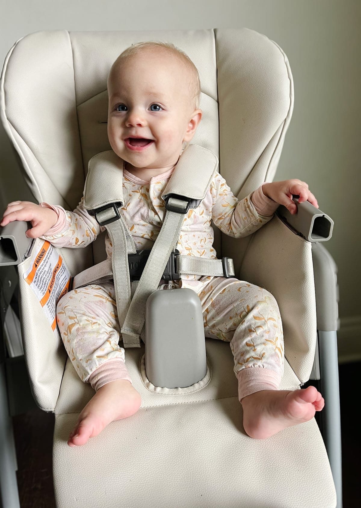 Inglesina My Time (Honest Review) | Hope And Hedges