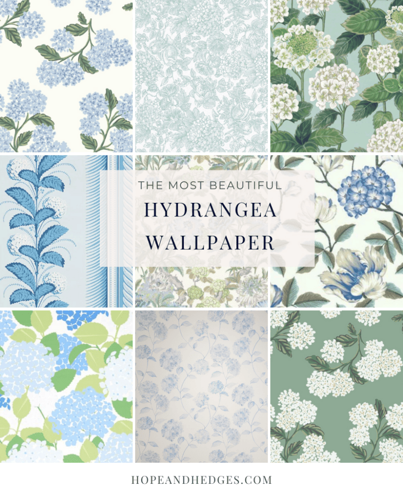 The Most Beautiful Hydrangea Wallpaper | Hope And Hedges