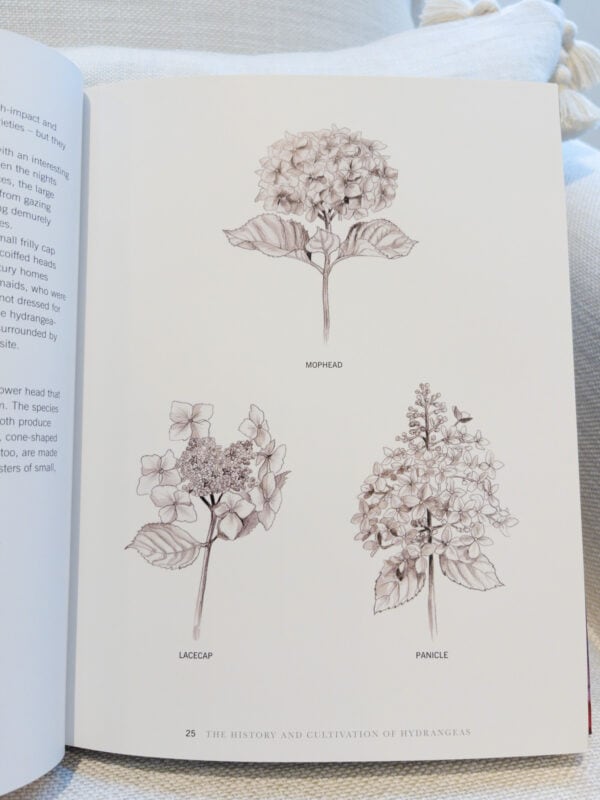9 Best Hydrangea Books | Hope And Hedges