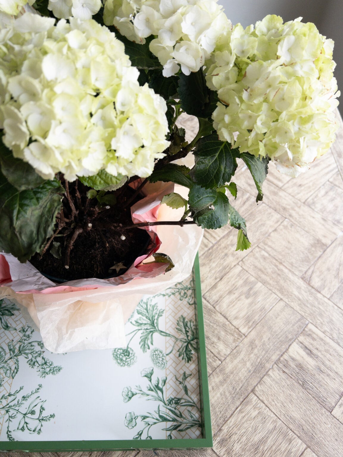 A Simple Trick To Enjoy Hydrangeas Indoors For Weeks (Or Months ...