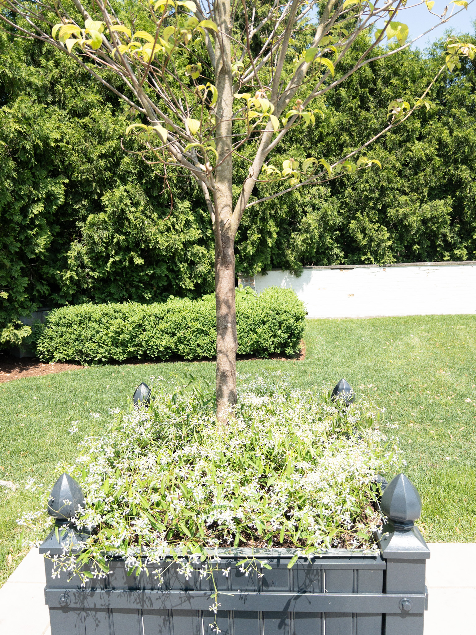 8 Summer Planter Ideas That Are Simply Stunning | Hope And Hedges
