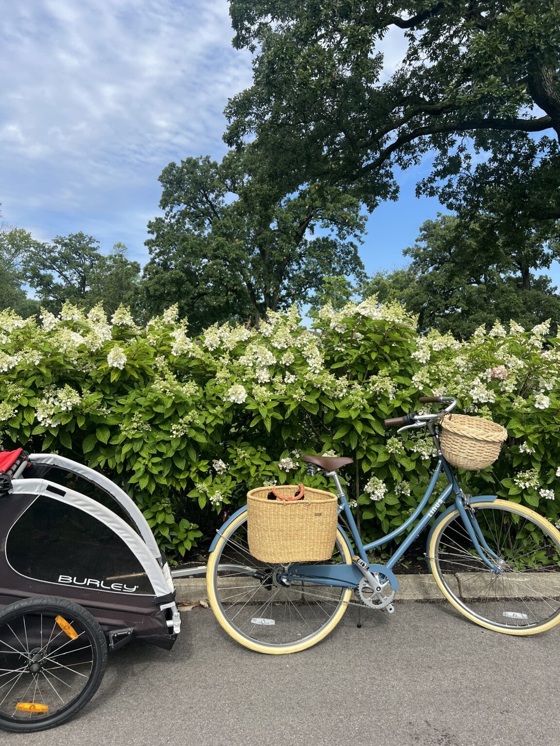 A Favorite Bike Trailer For Toddlers: Burley Honey Bee Bike Trailer ...