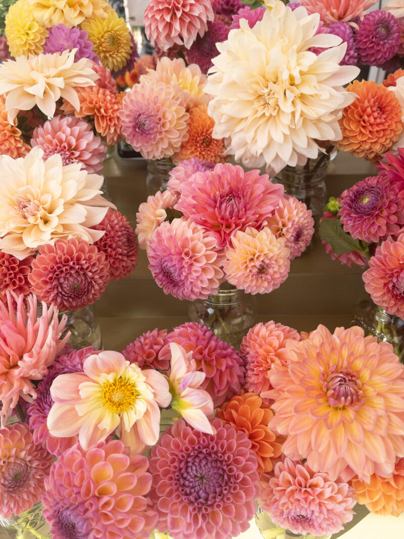 18 Easy Fall Decor Ideas | Hope And Hedges