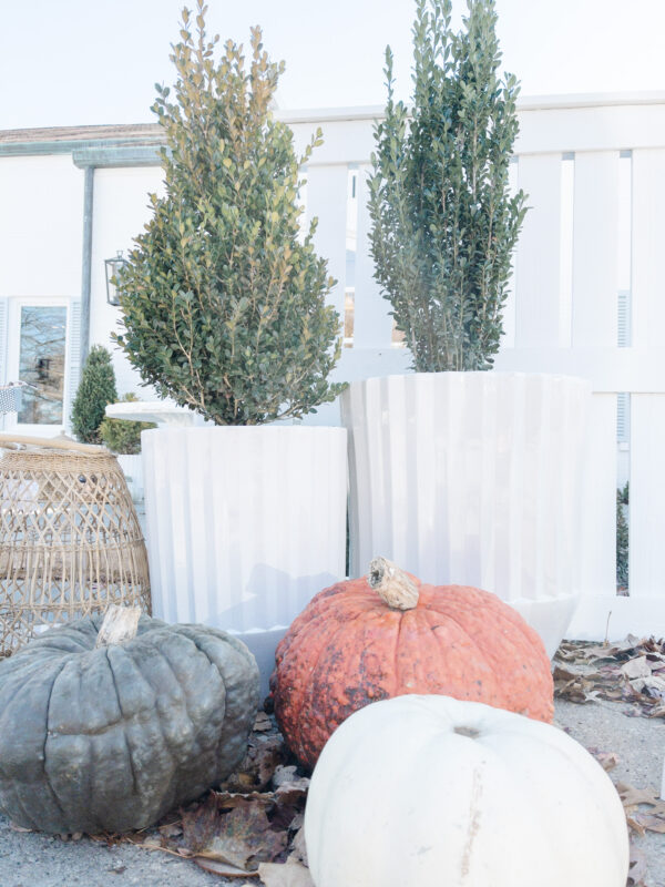 18 Easy Fall Decor Ideas | Hope And Hedges