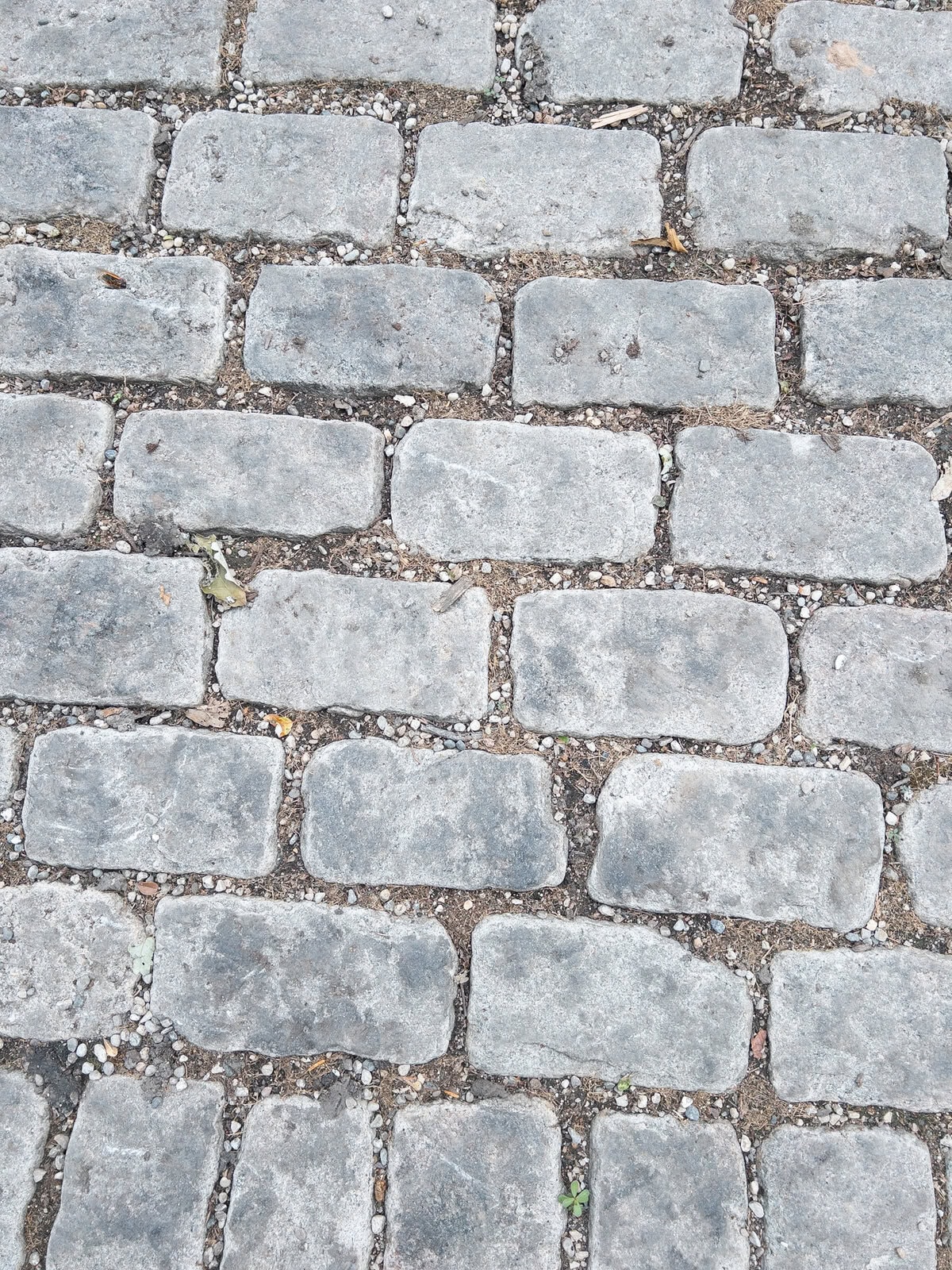 Beautiful Stone Paver Driveway Ideas (And Favorite Stone Pavers) | Hope ...