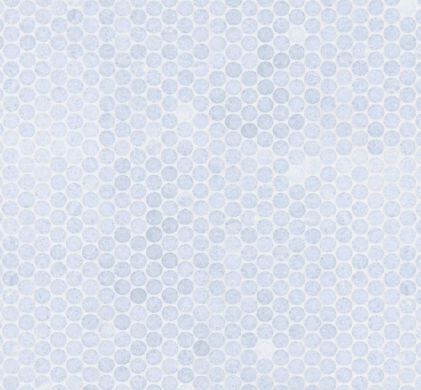 Classic Penny Tile Design Ideas (And The Best Penny Rounds) | Hope And ...